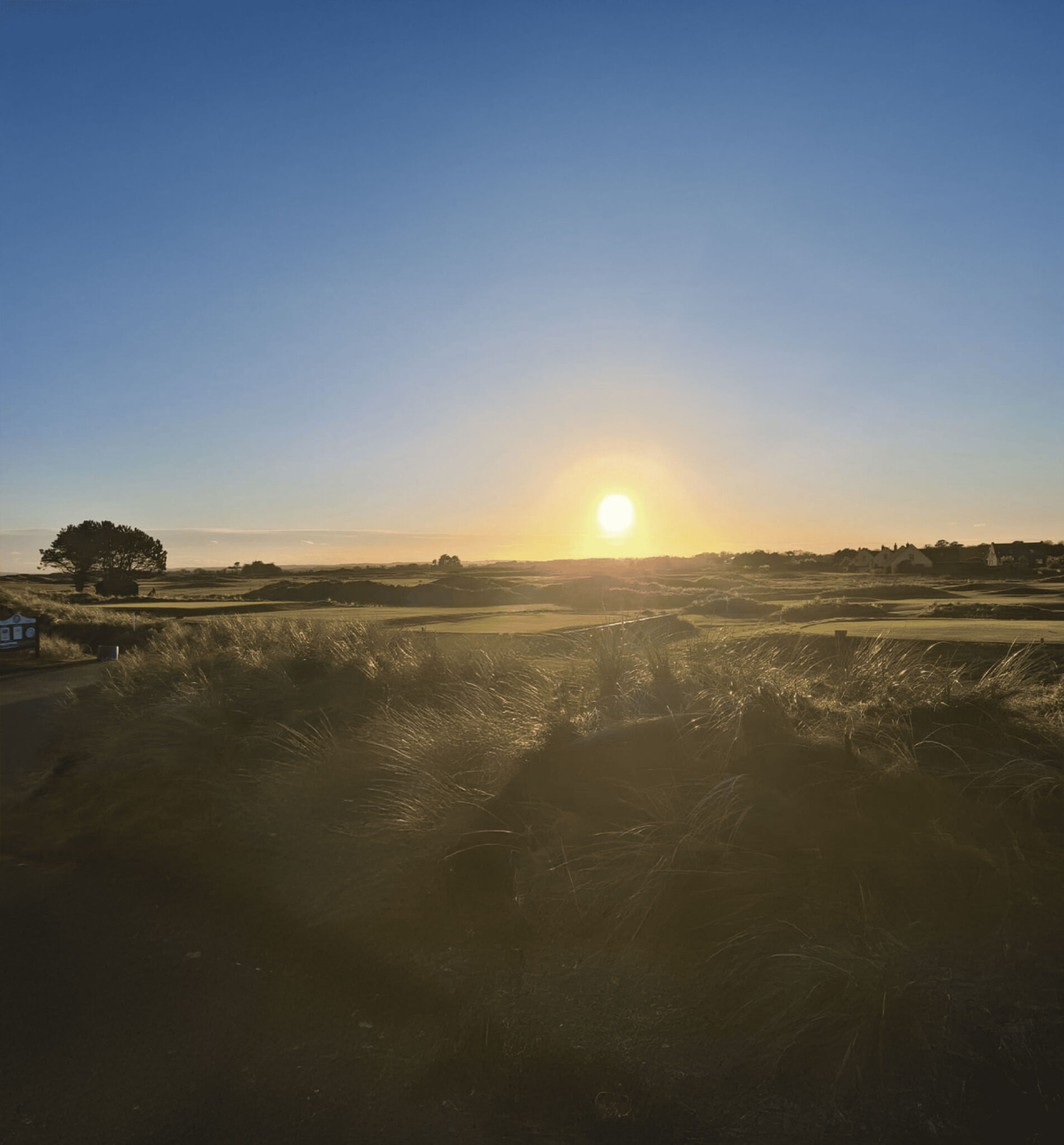 Our Links at Seapoint Golf Links